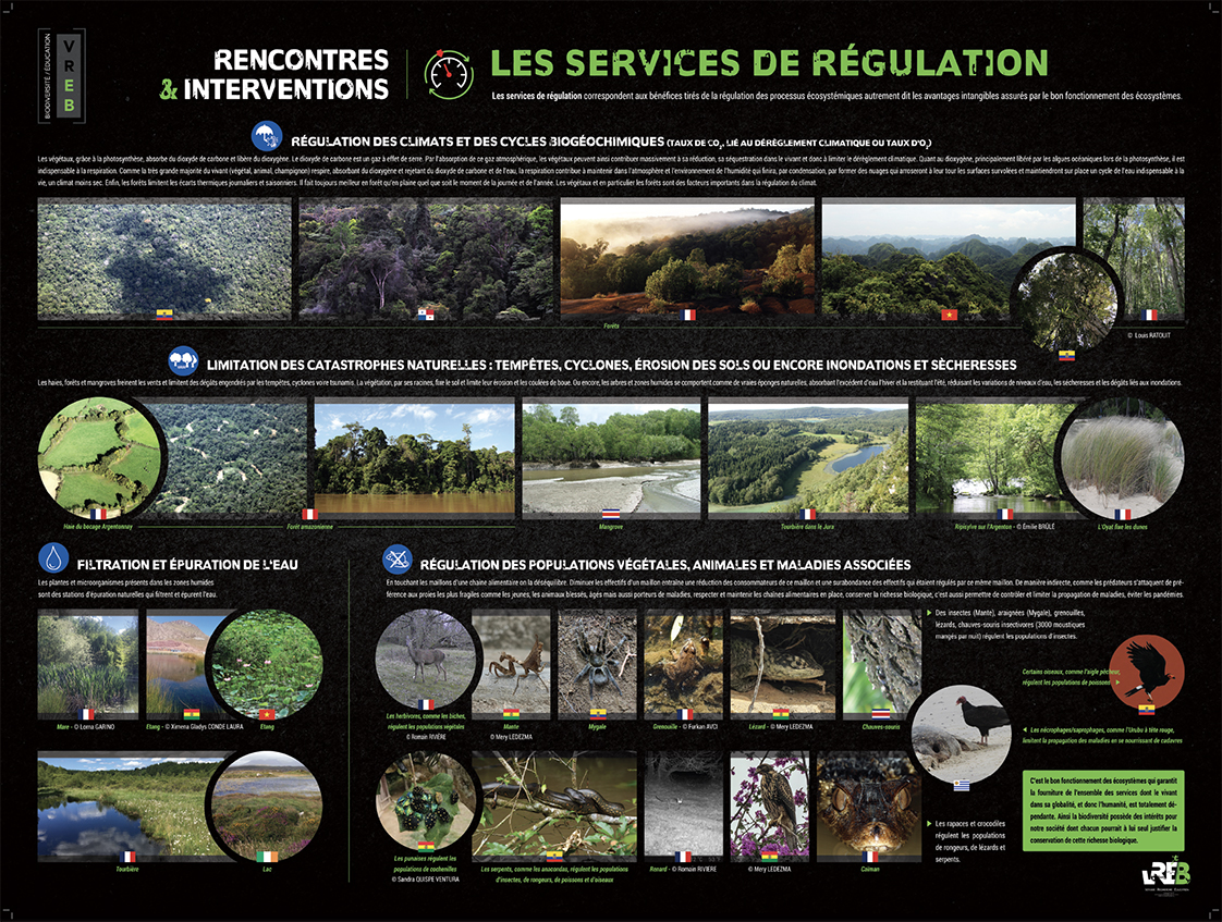 Poster 15-web – Voyage, Recherche & Education