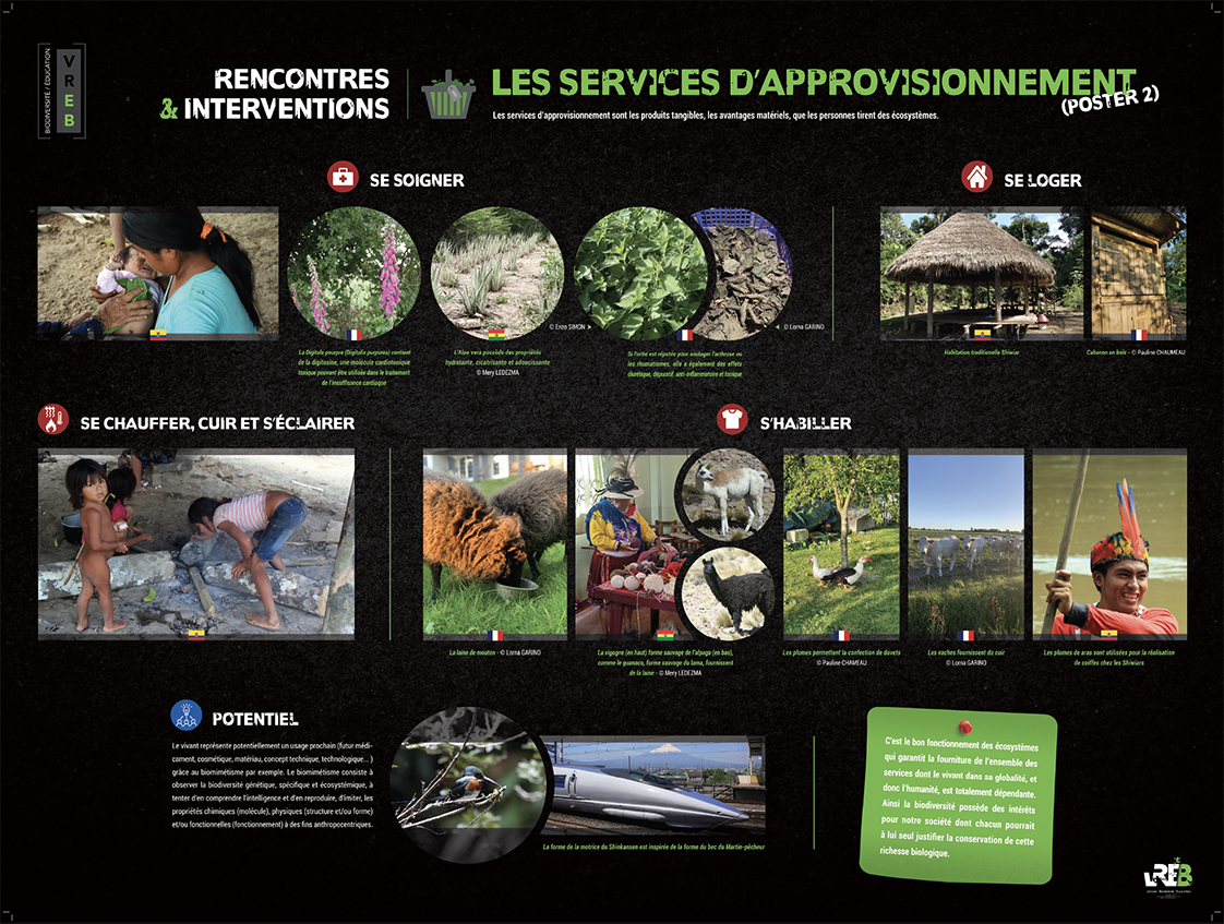 Poster 17-web – Voyage, Recherche & Education