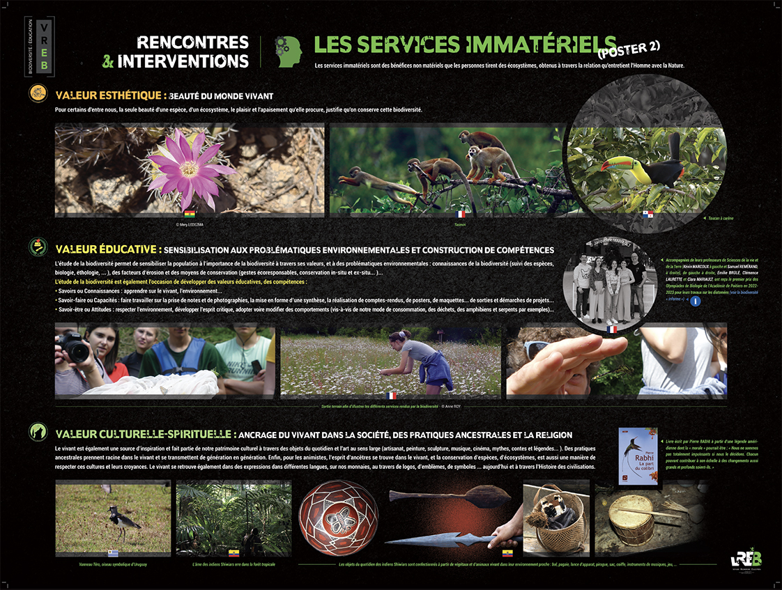 Poster 19-web – Voyage, Recherche & Education
